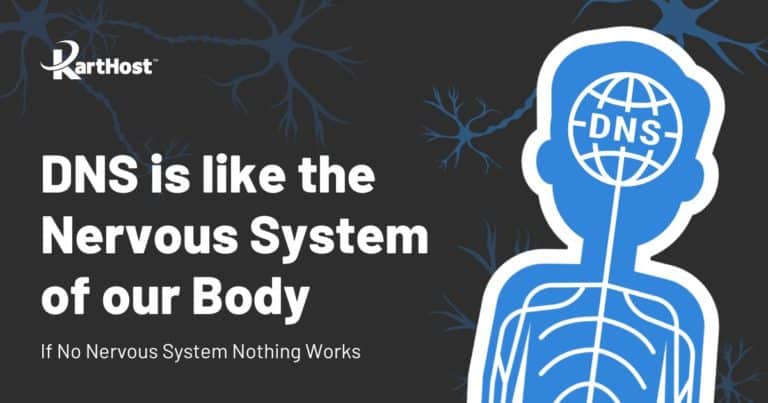 DNS is like the Nervous System of our Body